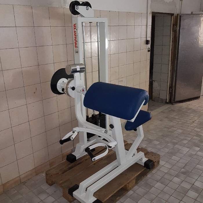 PANATTA BICEPS CURLING MACHINE :: EDZŐGÉPEK